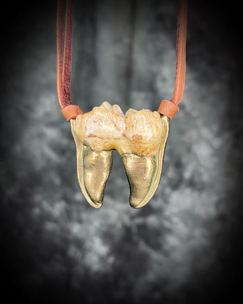 Products – Become Spellbound